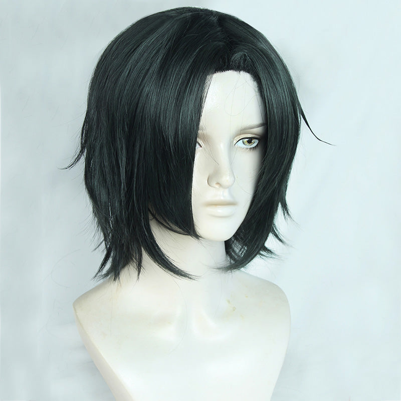 Hunter X Hunter Feitan Portor Cosplay Wig – Winkcosplay
