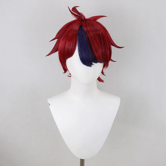 The Hundred Line -Last Defense Academy Takumi Sumino Cosplay Wig ...