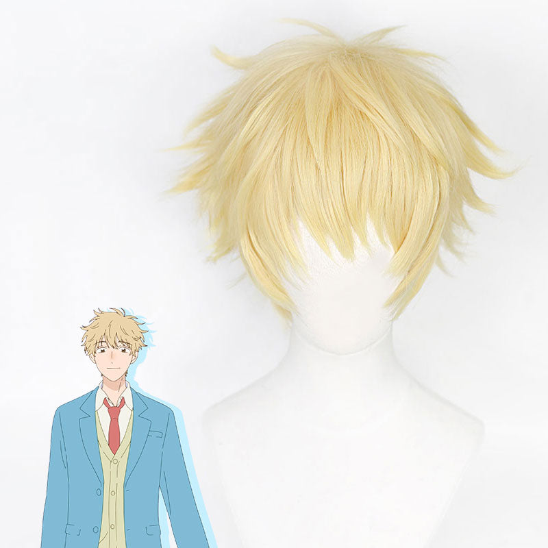 Skip and Loafer Sosuke Shima Cosplay Wig – Winkcosplay
